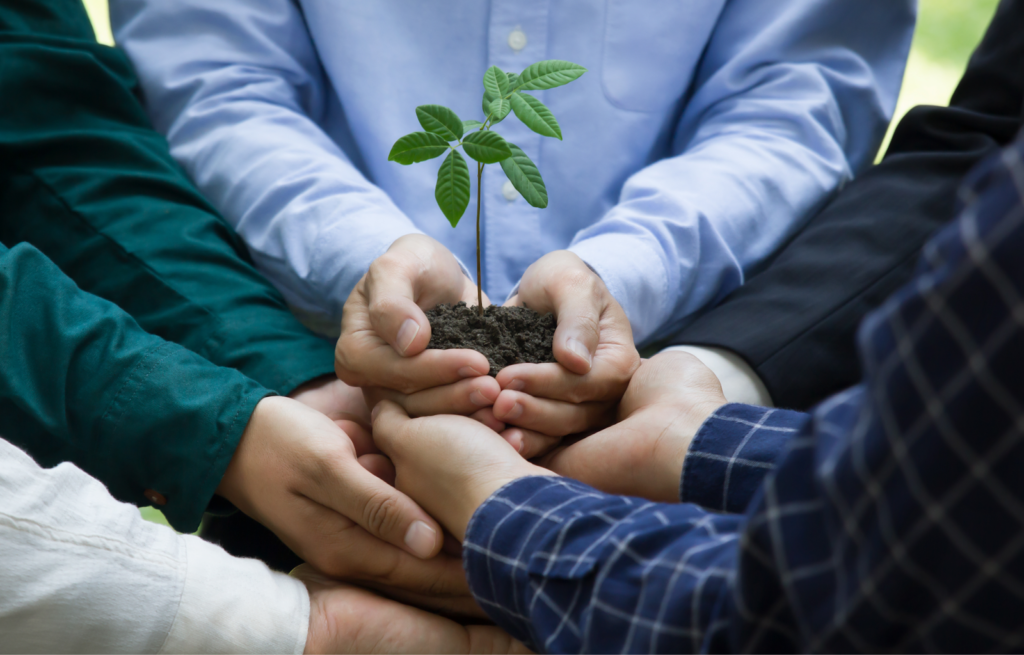 Building a Greener Future: 4 Sustainable Business Strategies ... Building a Greener Future: 4 Sustainable Business Strategies ...